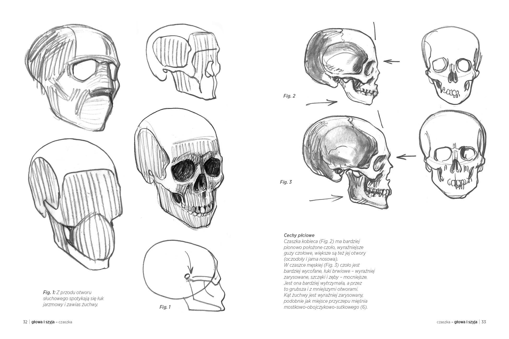 Morpho. Anatomia dla artystów. Michel Lauricella Morpho. Anatomia dla artystów | | Relacja