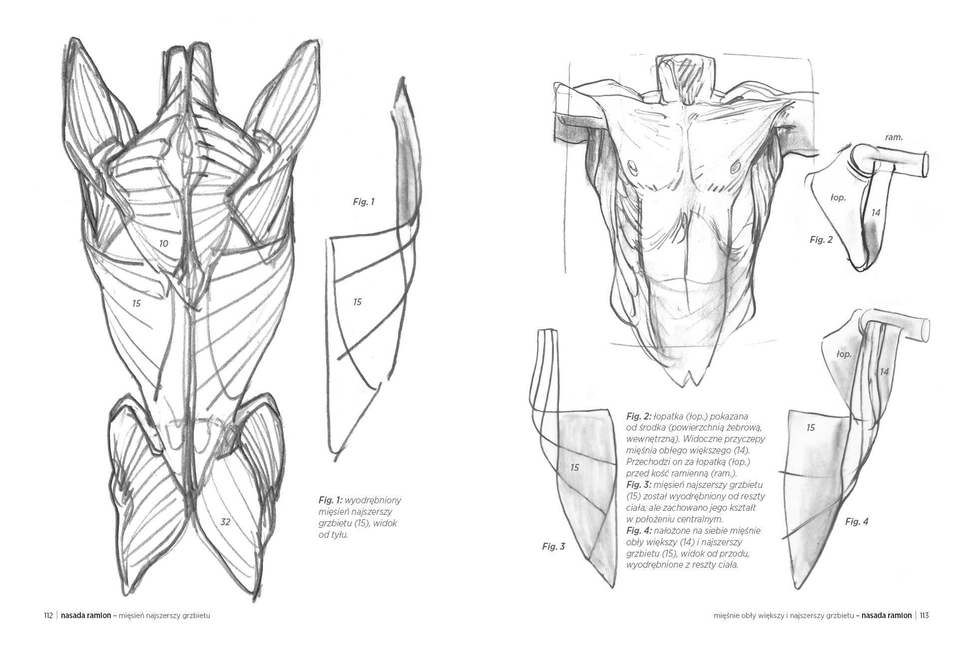 Morpho. Anatomia dla artystów. Michel Lauricella Morpho. Anatomia dla artystów | | Relacja